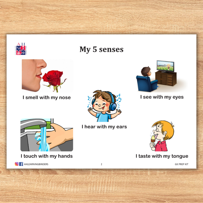 My 5 senses - AH Learning Binders